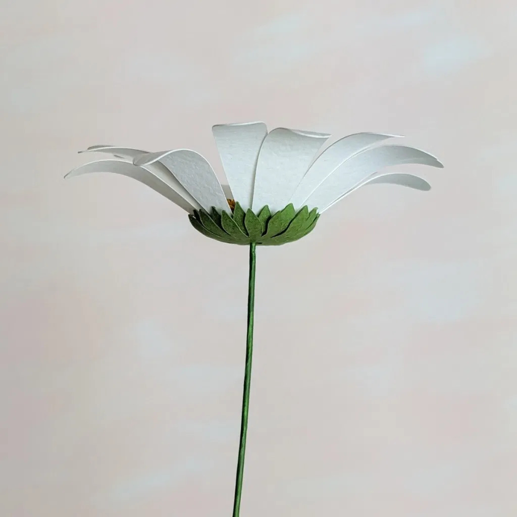 Windblown Ideas – Paper Flowers Simplified